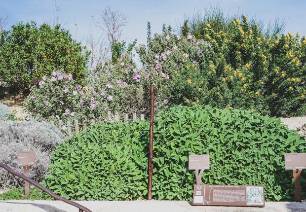 Le Jardin des migrations - Mucem